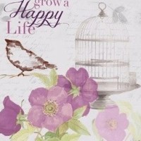 Braiding Sweetgrass by Robin Wall Kimmer – MG Buds book club