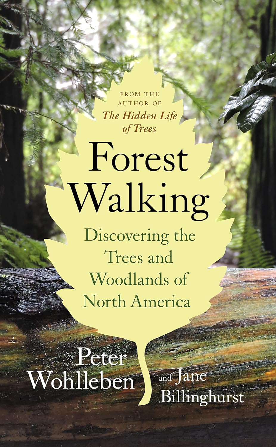Forest Walking: Discovering the Trees and Woodlands of North America by ...